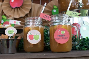 A Refreshing Fall Apple Cider Bar - Elva M Design Studio