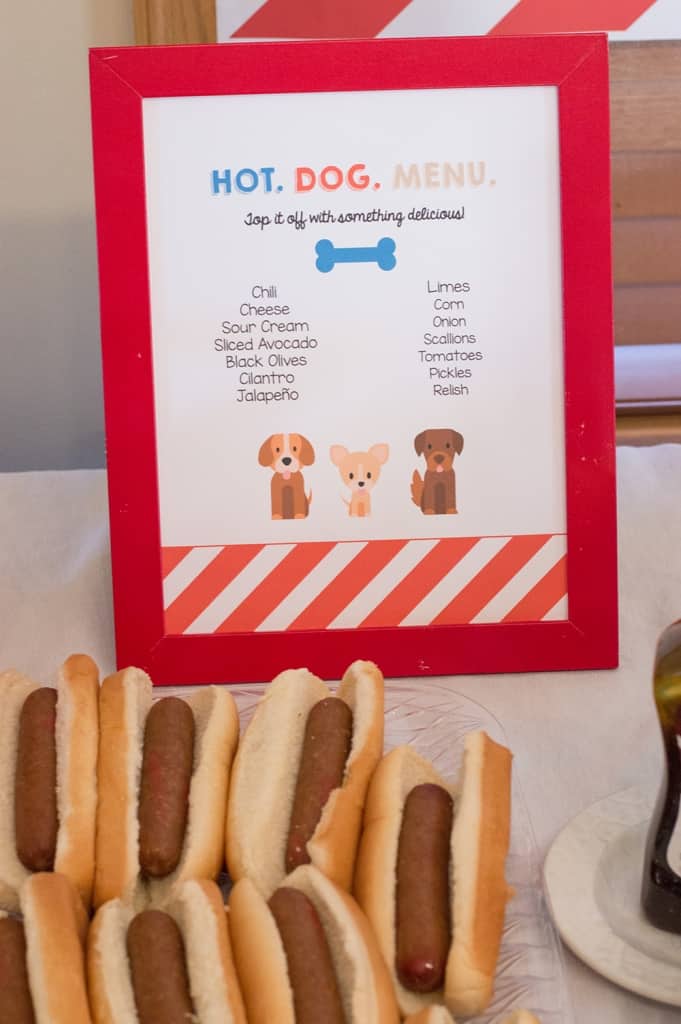 Woof, It's Time to Pawty: Puppy Party Birthday Ideas - Elva M Design Studio