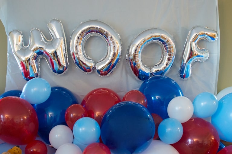 Woof, It's Time to Pawty: Puppy Party, - Elva M Design Studio