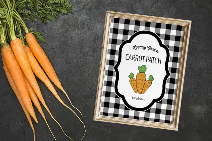 Carrot Patch Printables - Elva M Design Studio