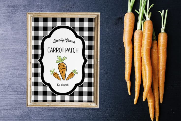 Carrot Patch Printables - Elva M Design Studio