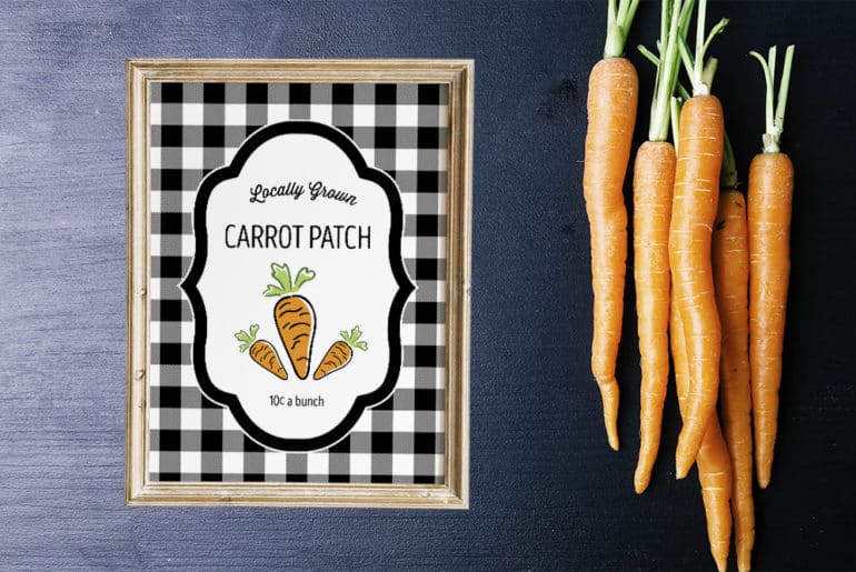 Carrot Patch Printables - Elva M Design Studio