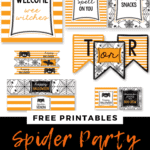 Spider Halloween Party for Kids - Elva M Design Studio