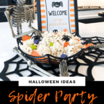 Spider Halloween Party for Kids - Elva M Design Studio