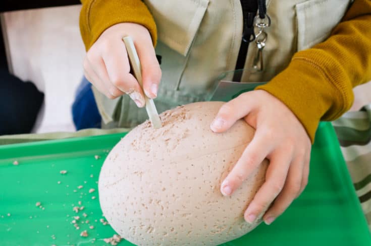 Dinosaur Dig Up Activity with Free Printables - Elva M Design Studio