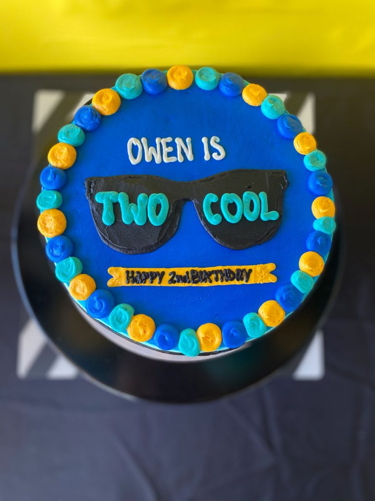 Two Cool Birthday Party - Elva M Design Studio