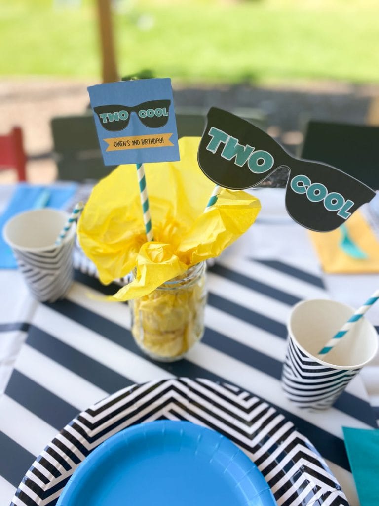 Two Cool Birthday Party - Elva M Design Studio