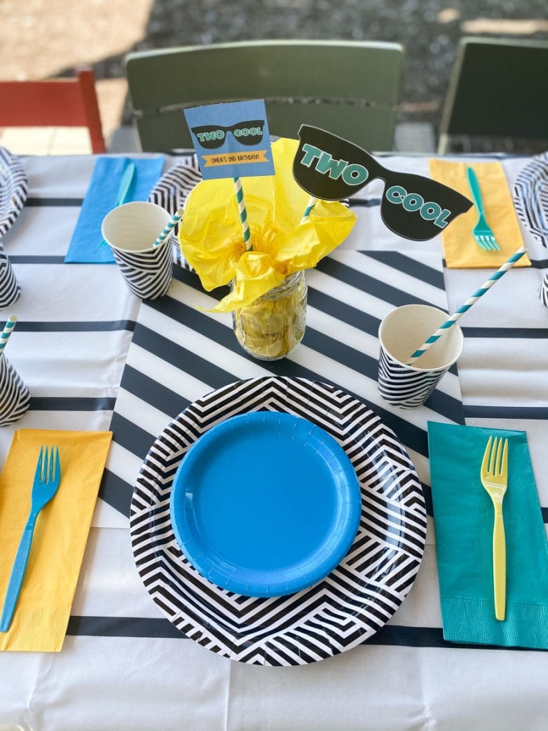 Two Cool Birthday Party - Elva M Design Studio