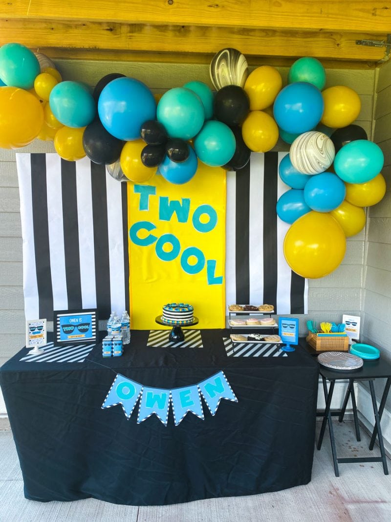 Two Cool Birthday Party - Elva M Design Studio